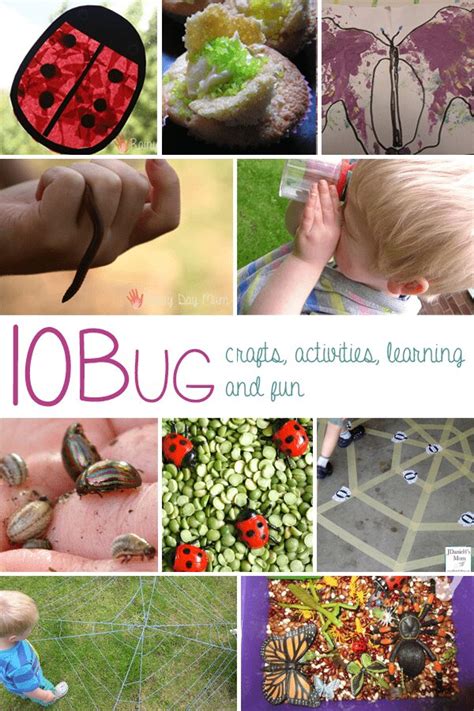 10 Bug Crafts Activities And Learning Fun