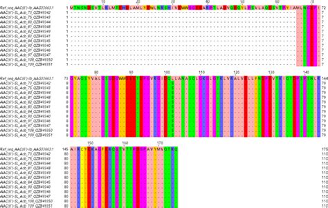 Multiple Sequence Alignment Of The Amino Acids Sequences Of The 12
