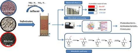 乙草胺降解的表征和微生物群落在具有不同底物类型的生物过滤器中的作用 Chemical Engineering Journal X Mol