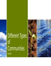 Different Types Of Communities Pptx Different Types Of Communities Subtitle Types Of Community