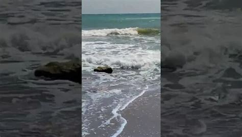 Чёрное море немного штормит 3 Черно море е малко бурно 3 31 08 2019 Болгария море shorts