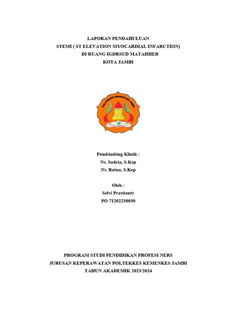 Lp Stemi Pdf Sains And Matematika