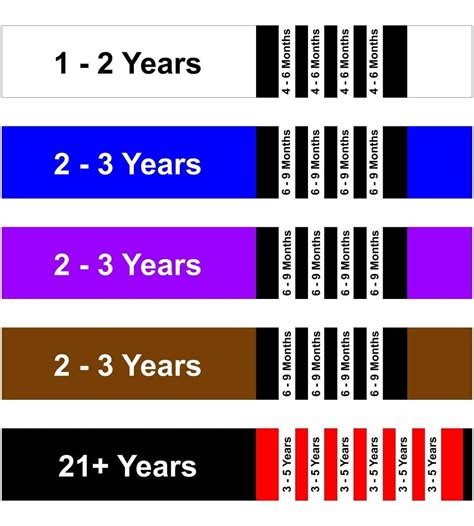 EXPLAINED How To Get Your BJJ Blue Belt Faster