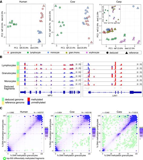 Differential Dna Methylation Analysis Without A Reference Genome