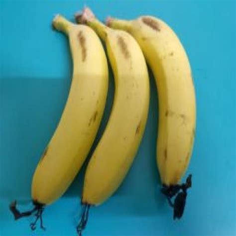 Fruit Detection Object Detection Dataset By Yolo Fruit Detection Object Detection Dataset By Yolo