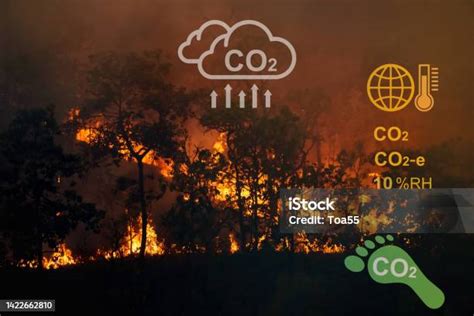 산불은 기후 변화에 기여하는 Co2 배출량 및 기타 온실 가스 를 방출합니다 산불에 대한 스톡 사진 및 기타 이미지 산불