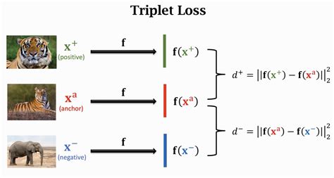 小样本学习与triplet Loss，数据增强和课程学习 知乎