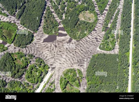 Aerial View Military Training Area Munster Manoeuvring Area