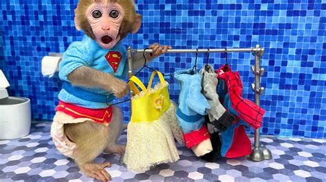 Cute Chimpanzee With Clothes On
