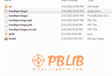 Handle Privileges In Powerbuilder Powerbuilder Library