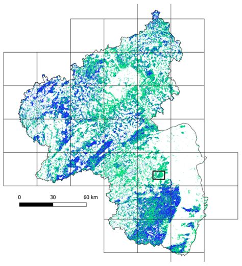 Forests Free Full Text Potential Of Sentinel 1 Data For Spatially And Temporally High