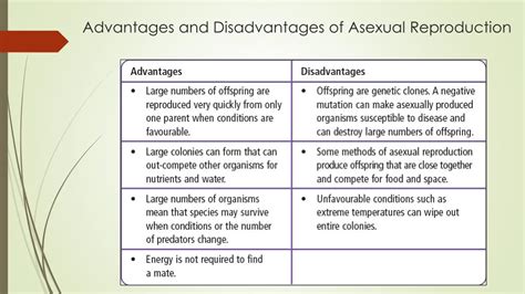 Ppt Advantages And Disadvantages Of Asexual Reproduction Powerpoint