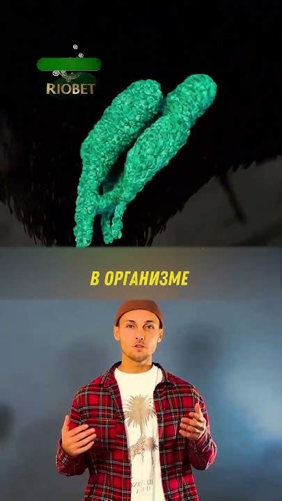 Как паук плетет свою паутину🤨 Youtube