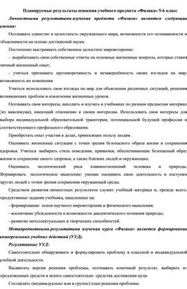 Рабочая программа "Физика 5-6 класс"
