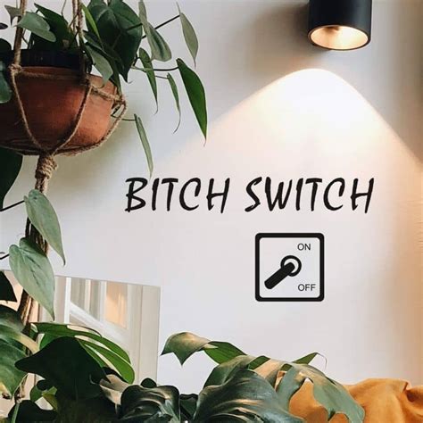 Bitch Switch Wall Sticker Wall