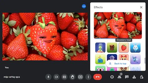 Easy Ways To Use Google Meet Filters Fineshare