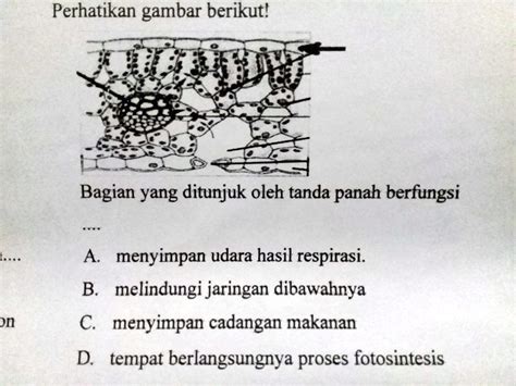 SOLVED Bagia Yang Ditunjuk Oleh Tanda Panah Berfungsi Untuk Tolong