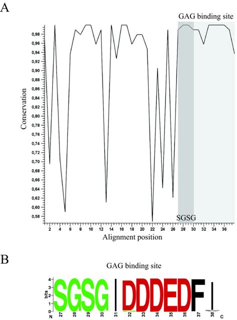 Amino Acid Sequence Conservation A Line Plot Displaying The Level Of