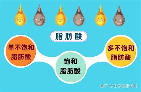 广东无糖空间科普饱和脂肪酸和不饱和脂肪酸的区别？ 知乎
