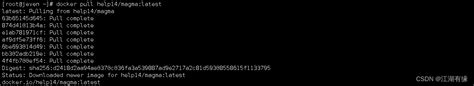 云原生之使用docker部署magma导航页docker 导航页 Csdn博客