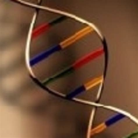 How To Design A Primer In ARMS PCR