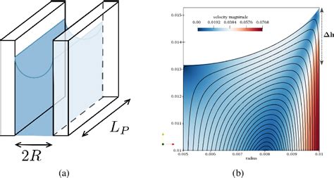 Figure 1 From Bridging The Scales In Capillary Rise Dynamics With Complexity Reduced Models
