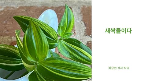 동요ㅣ 새싹들이다 ㅣ멜로디 연습 Youtube