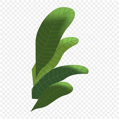 Psd Png