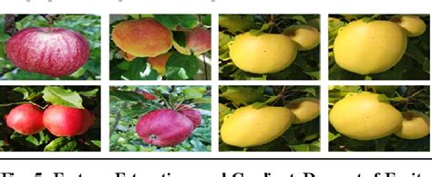 Figure 5 From Improved Fruit Detection By Image Processing Using Deep Learning Semantic Scholar