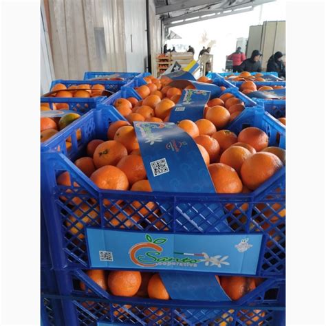 Продам мандарин зі складу у Львові, Львівська обл — Agro-Ukraine