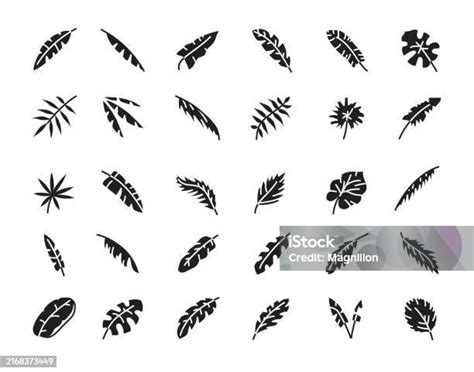 다양한 잎 모양과 질감을 특징으로 하는 잎 아이콘 세트 벡터 일러스트 레이 션 관목에 대한 스톡 벡터 아트 및 기타 이미지 관목 날씬한 0명 Istock