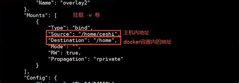 Docker 男胖友de部落格