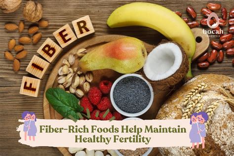 Fiber Rich Foods Help Maintain Healthy Fertility