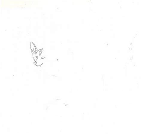How To Draw Wolves In Anime Style Anime Style Learn To Draw Anime