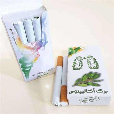 خرید و قیمت برگ خشک اکالیپتوس بسته بندی 10 عددی کمک به تنفس دود ترب
