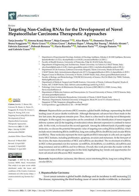 Pdf Targeting Non Coding Rnas For The Development Of Novel Hepatocellular Carcinoma