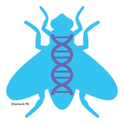 Guidelines And Sops For Research On Genetically Engineered Insects 2023