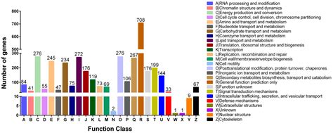 Ijms Free Full Text Genomic And Comparative Transcriptomic Analyses
