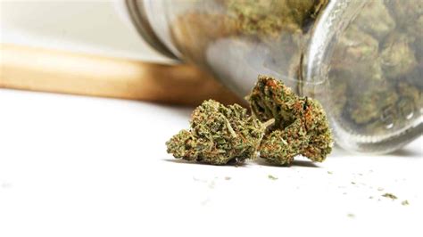 Understanding The Different Types Of Cannabinoids In Canada