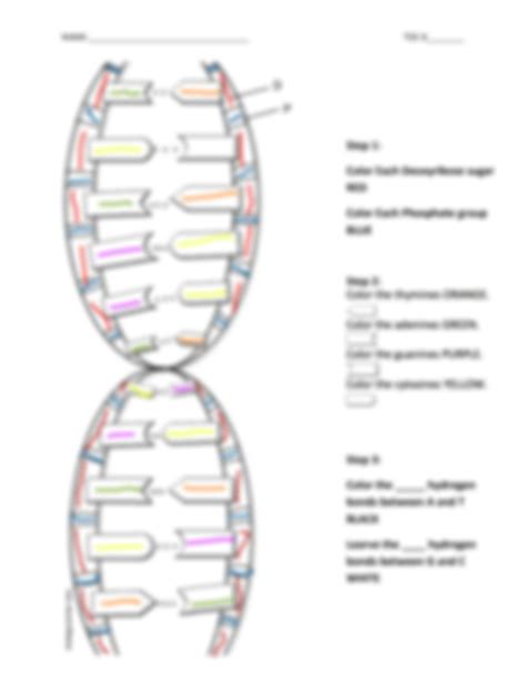 SOLUTION Kami Export Charles Powell Dna Structure Worksheet