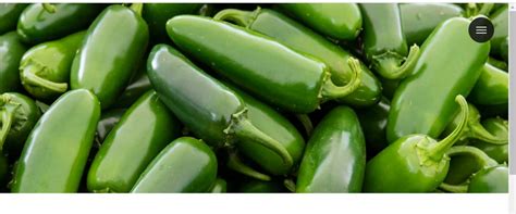 Jalape Os At Best Price In Bengaluru By Global Green Company Limited ID