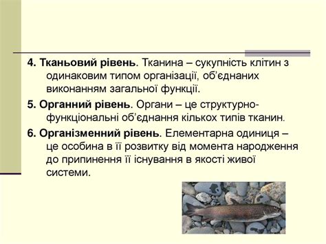 Біологія – наука про живе - презентация онлайн