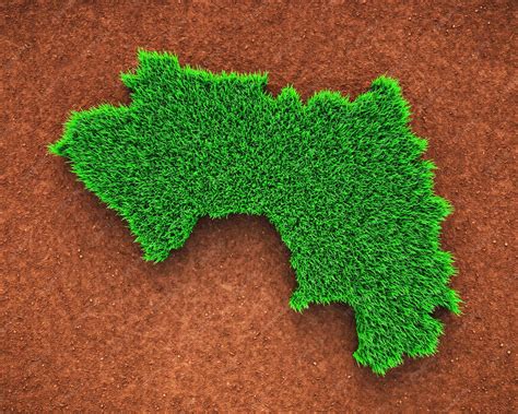 Premium Photo Guinea Grass Nature Map