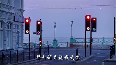 我爱你不是因为你完美，我爱你因为你是你。 Youtube