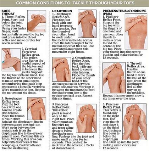 Reflexology Massage Techniques Lots Of Charts The Whoot