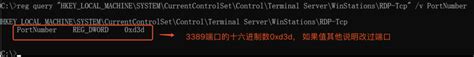 详解如何诊断并解决Windows远程桌面连接问题和 端口无法访问 蜻蜓映射