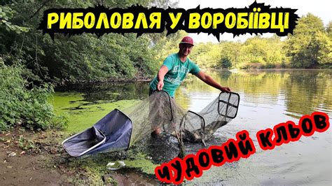 ЯК ЗАРАЗ КЛЮЄ РИБА У ВОРОБІЇВЦІ / РЕКОРДНИЙ СОМ /РИБОЛОВЛЯ ПІВДЕННИЙ ...