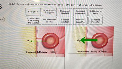 Answered 31 18 Predict Whether Each Condition Would Increase Or Kunduz