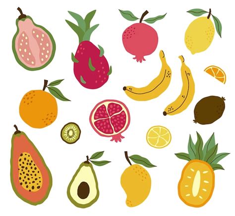 Premium Vector Tropical Fruit Vector Set In Modern Style