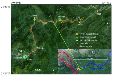 Figure A1 Spawning Survey And Spawning Ground Distribution Of C Download Scientific Diagram